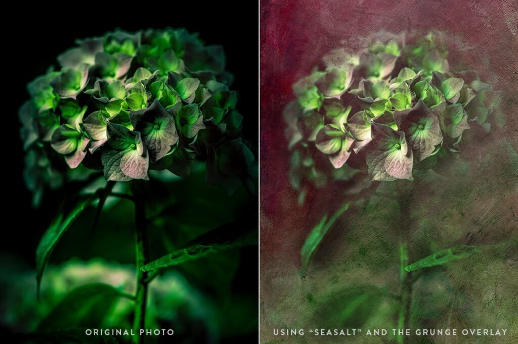 Delicato Fine Art Textures – MasterBundles