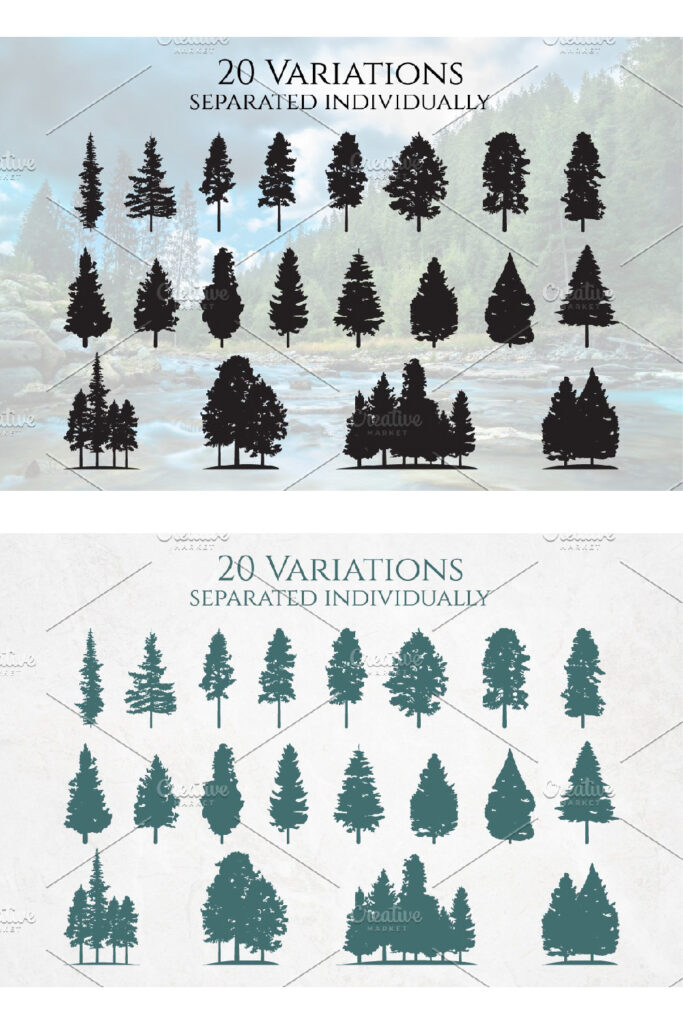 Coniferous Pine Fir Tree Silhouette Set - MasterBundles