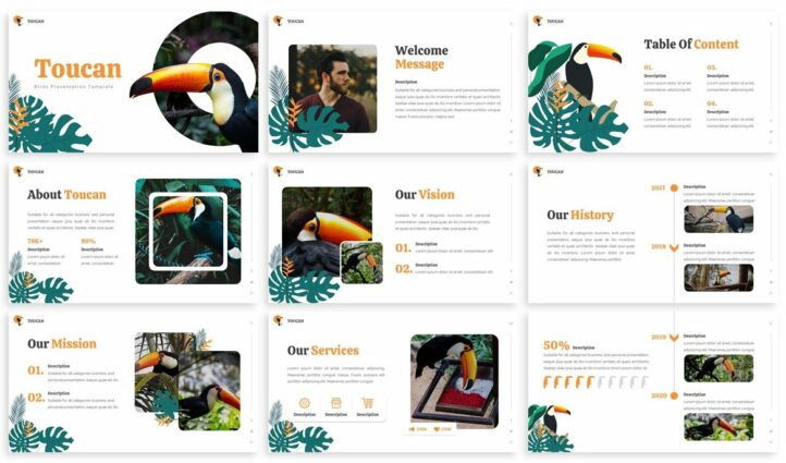 Toucan - Tropical Powerpoint – MasterBundles