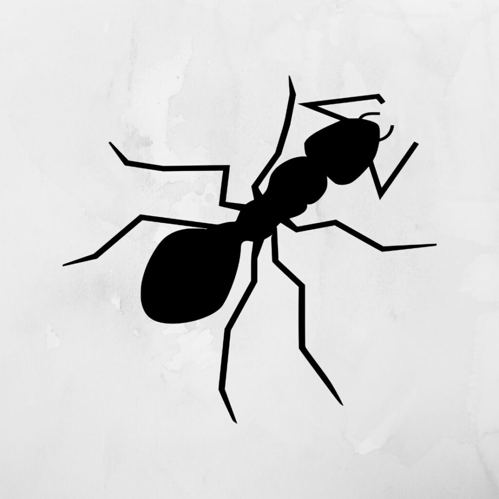 Ant SVG – Ant Silhouette – Ant Bundle – Only $9 - MasterBundles