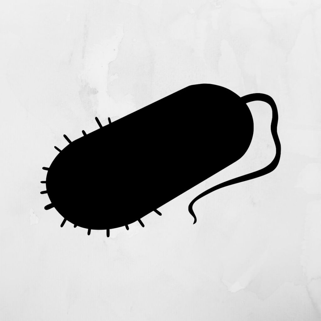 Bacteria Virus SVG – Bacteria Virus Silhouette – Bacteria Virus Bundle ...