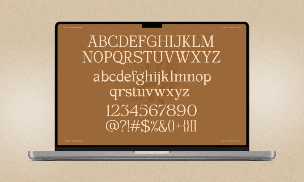 Magilla - Serif Font – MasterBundles