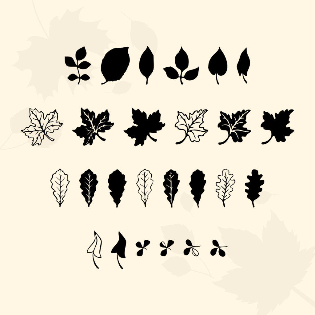 Fall Leaves, Cutting SVG Bundle, Autumn Leaves Clipart – MasterBundles
