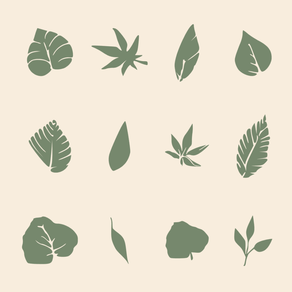 Leaves SVG – MasterBundles