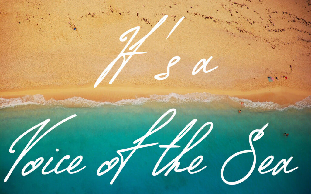 Vicky&Nelly Script - MasterBundles