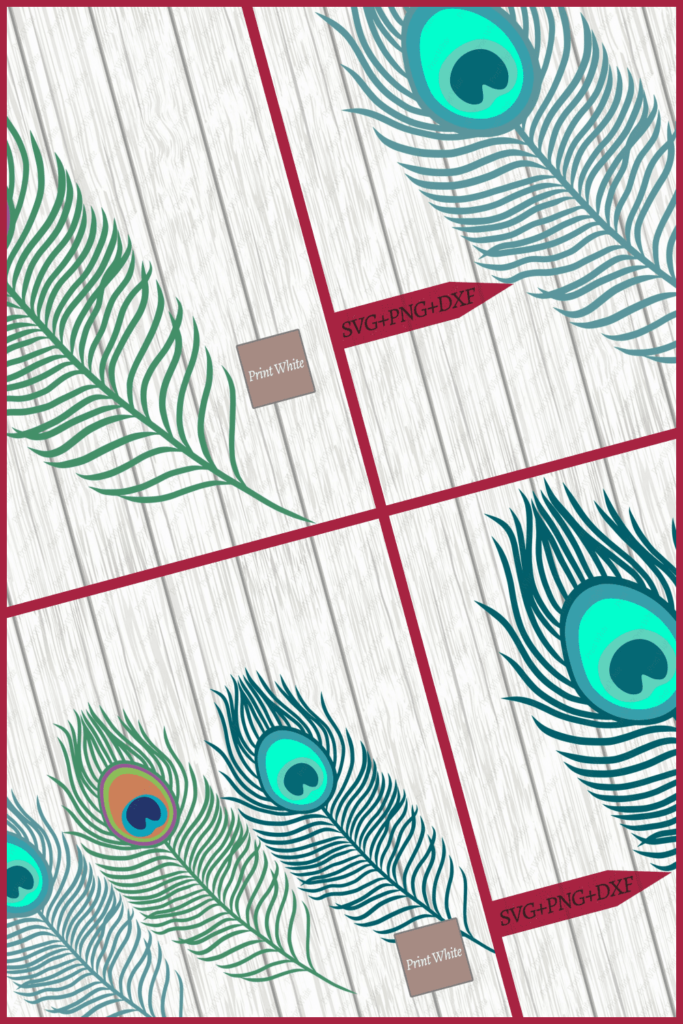 Peacock Feather SVG – MasterBundles