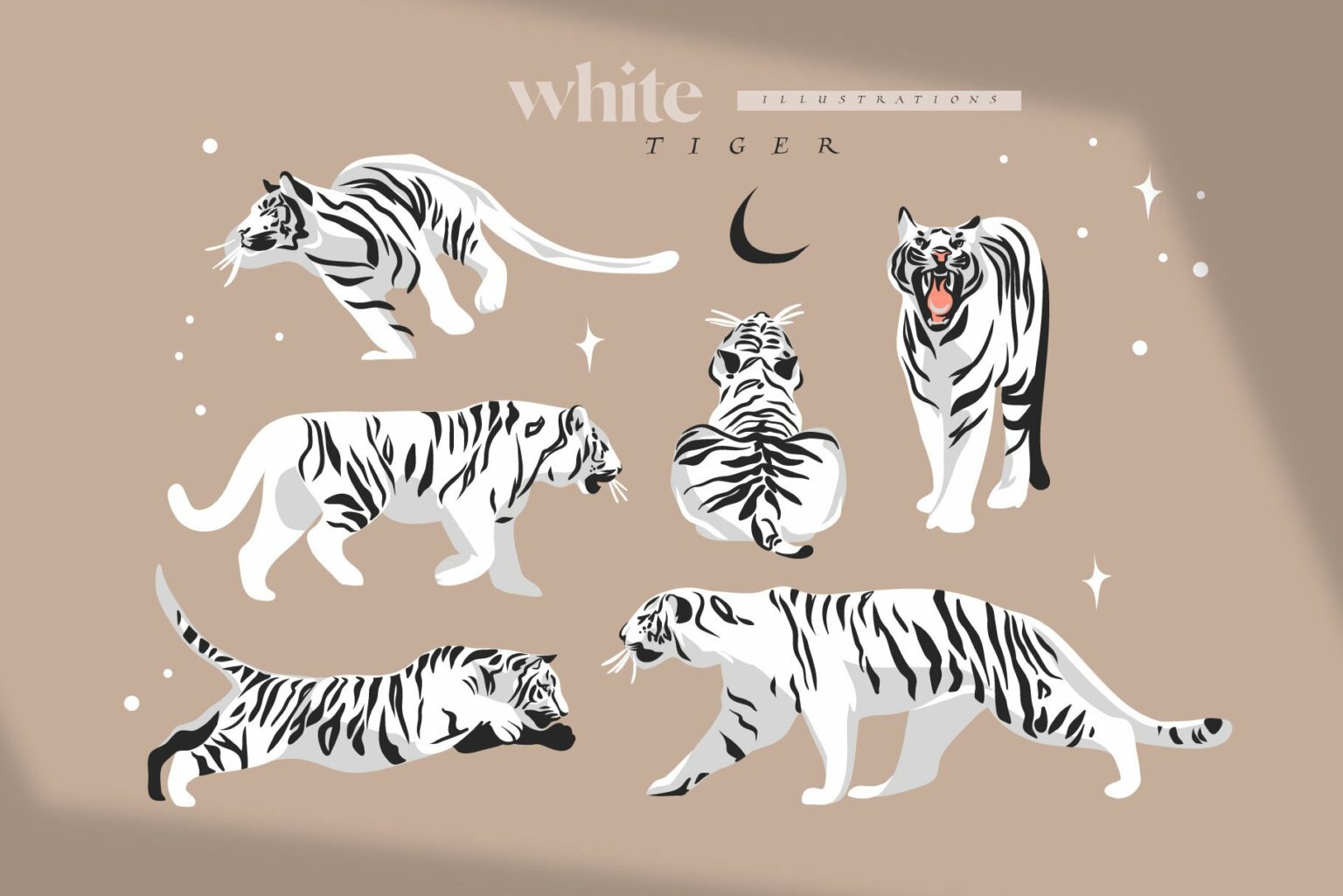 White Tiger Patterns & Elements – MasterBundles