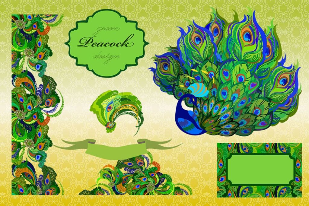 Fantastic Peacock - Big Vector Set – MasterBundles