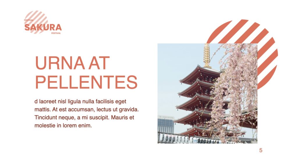 Sakura Presentation Template: 50 Slides PPTX, KEY, Google Slides ...