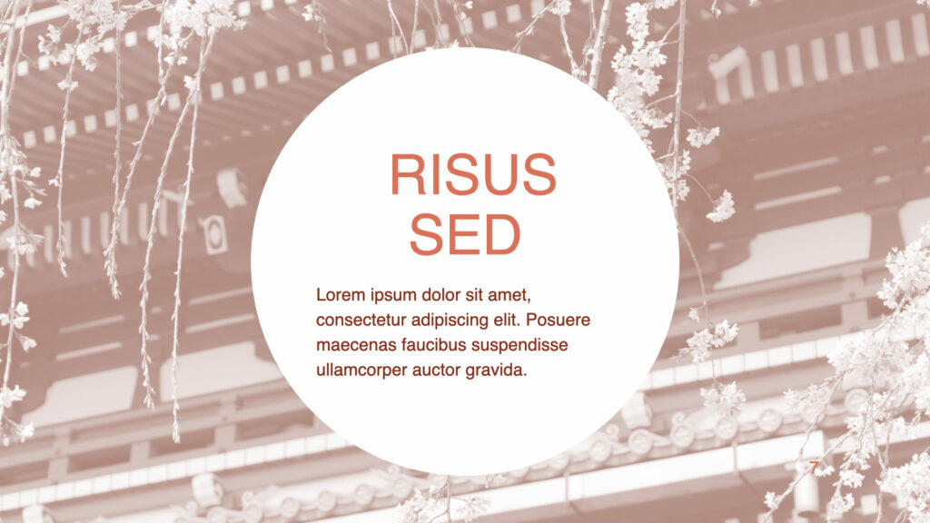 Sakura Presentation Template: 50 Slides PPTX, KEY, Google Slides ...