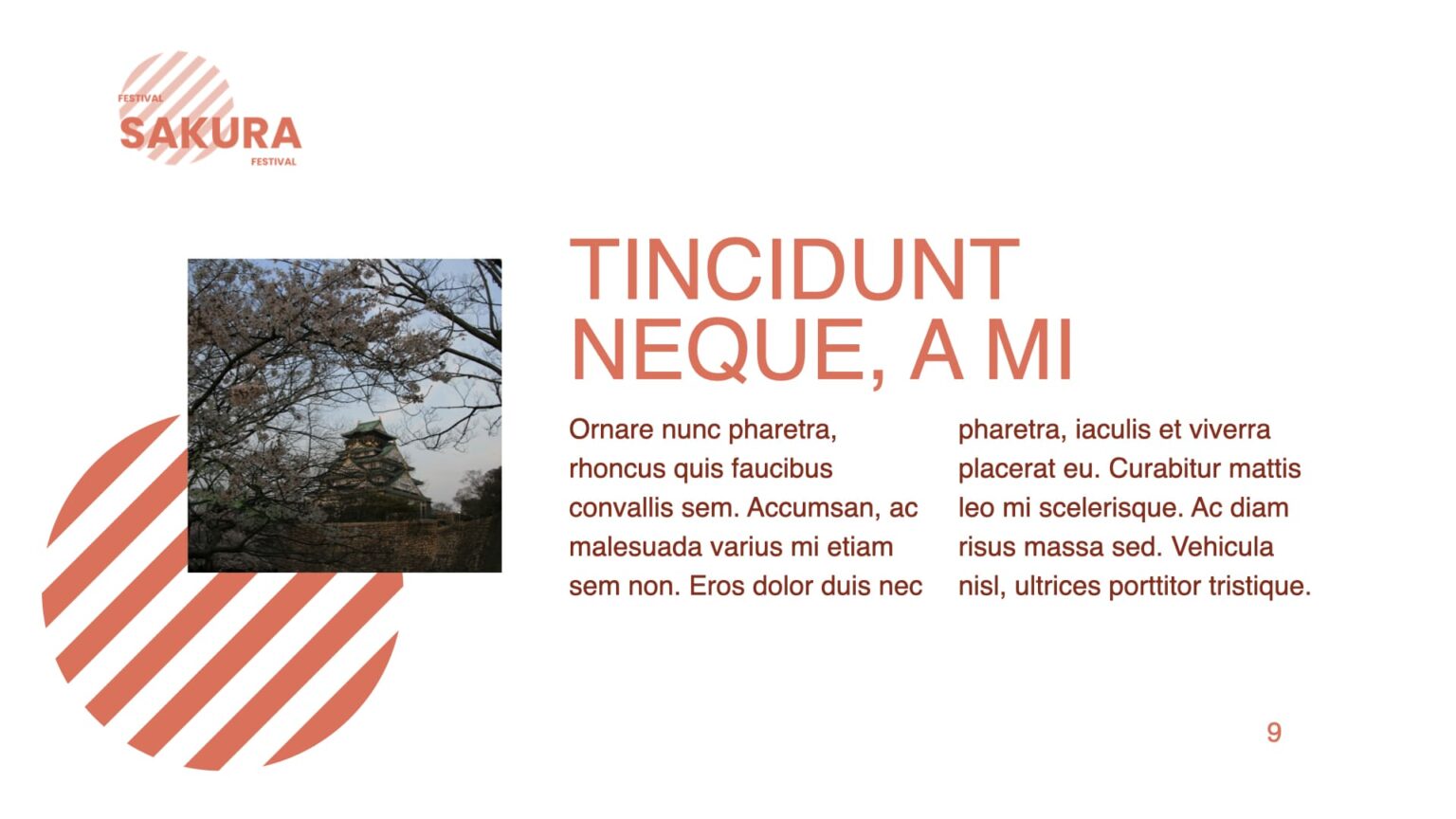 Sakura Presentation Template: 50 Slides PPTX, KEY, Google Slides ...