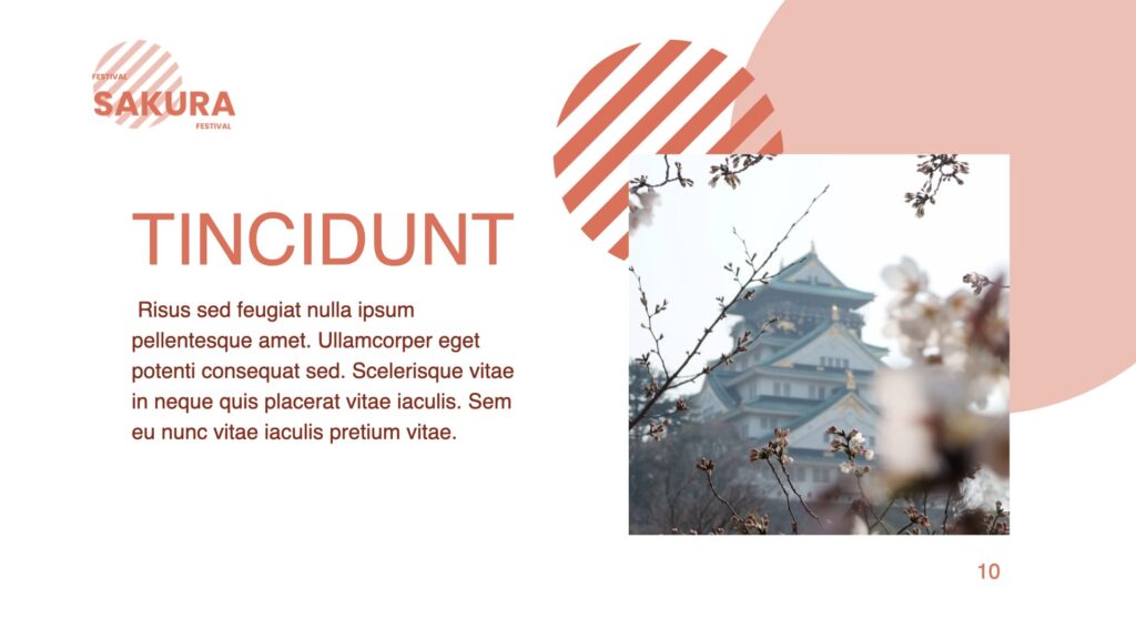 Sakura Presentation Template: 50 Slides PPTX, KEY, Google Slides ...