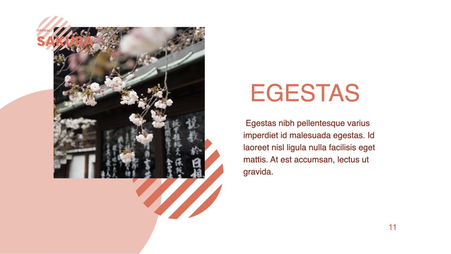 Sakura Presentation Template: 50 Slides PPTX, KEY, Google Slides ...