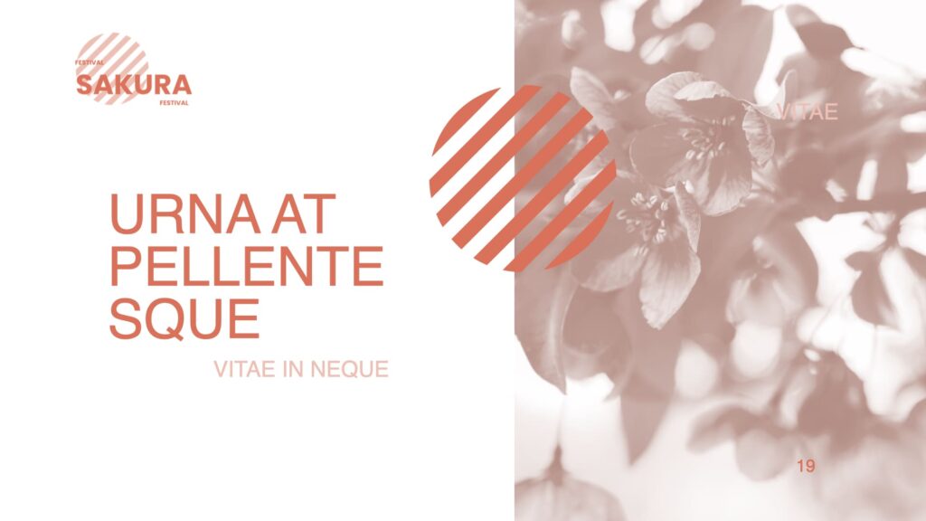 Sakura Presentation Template: 50 Slides PPTX, KEY, Google Slides ...