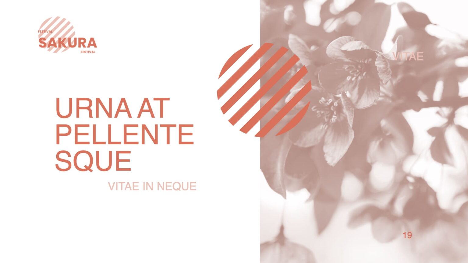 Sakura Presentation Template: 50 Slides PPTX, KEY, Google Slides ...