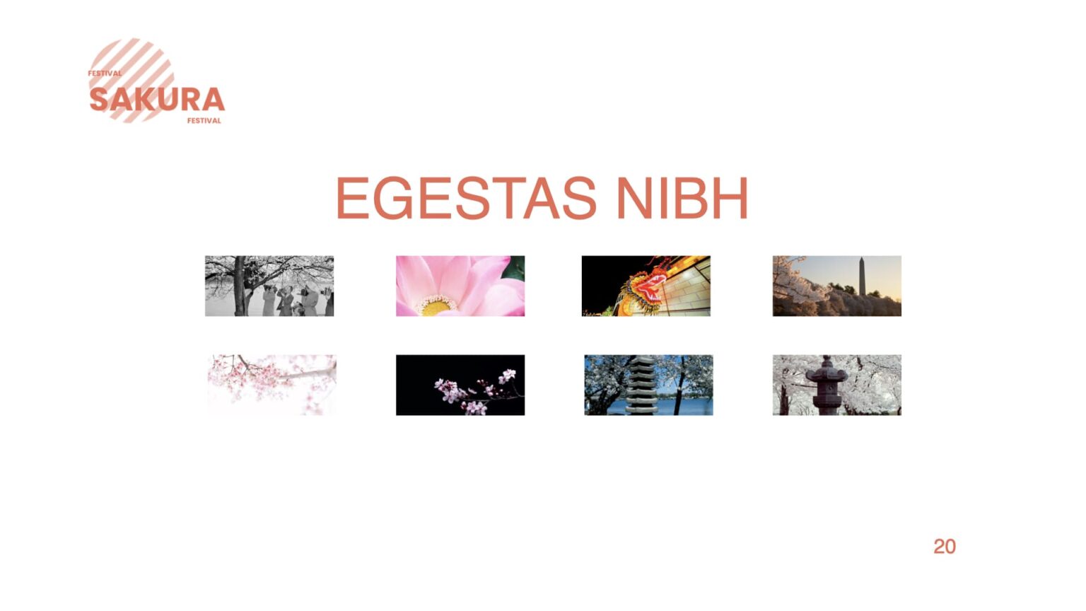 Sakura Presentation Template: 50 Slides PPTX, KEY, Google Slides ...