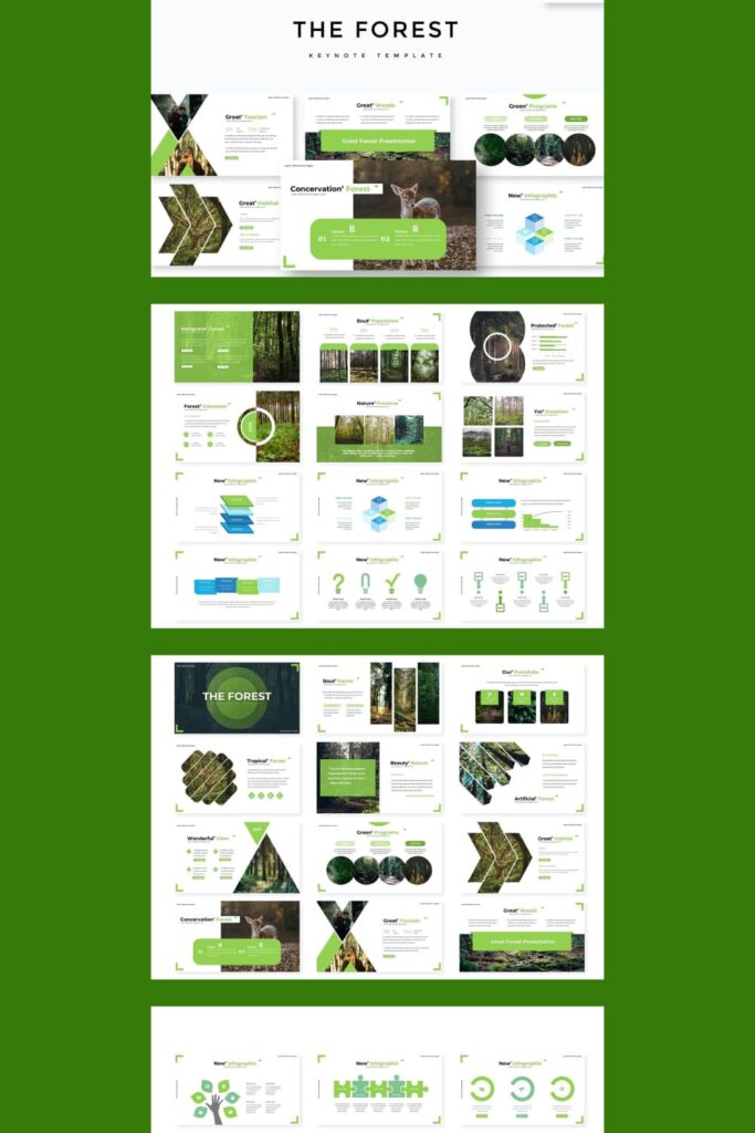 The Forest - Keynote Template – MasterBundles
