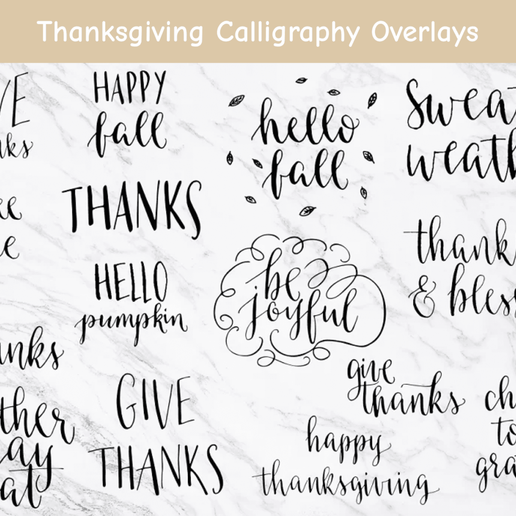 Thanksgiving Calligraphy Overlays – MasterBundles