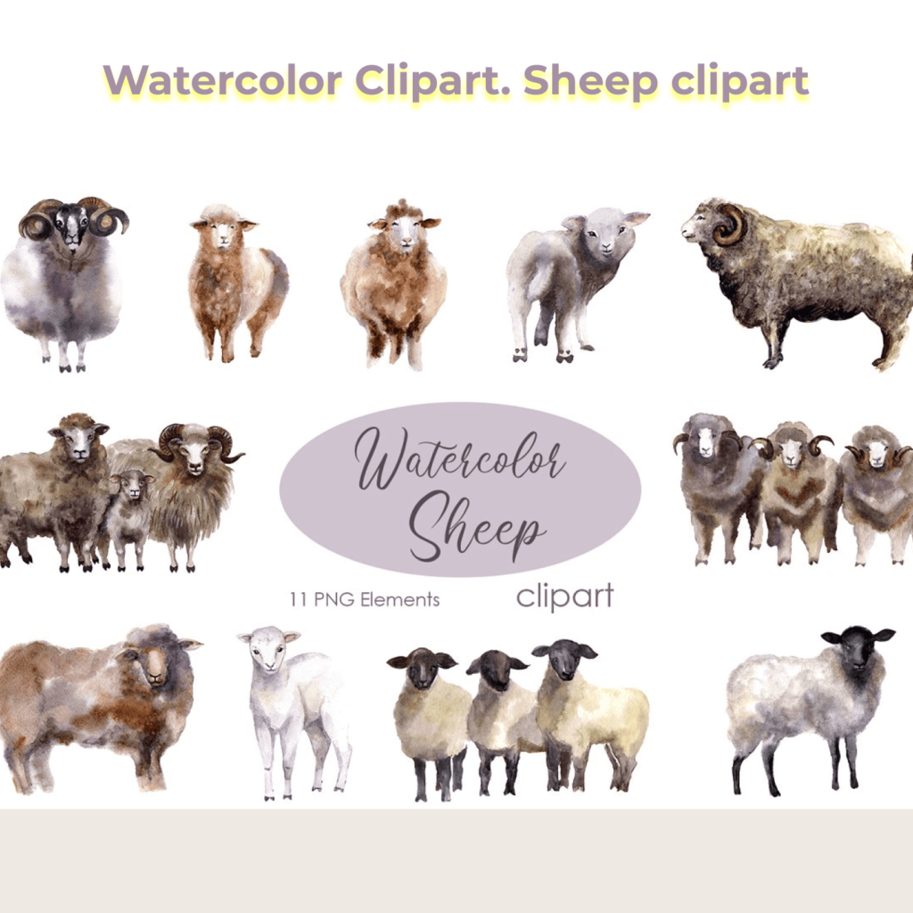 Watercolor Clipart. Sheep Clipart – MasterBundles