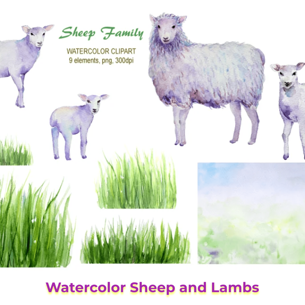 Watercolor Sheep and Lambs – MasterBundles