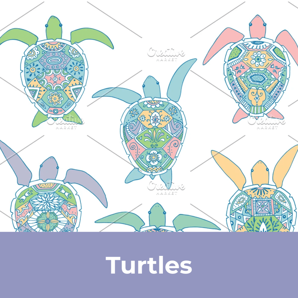 Turtles Illustrations & Patterns – MasterBundles