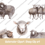 Watercolor Clipart. Sheep Clip Art – MasterBundles