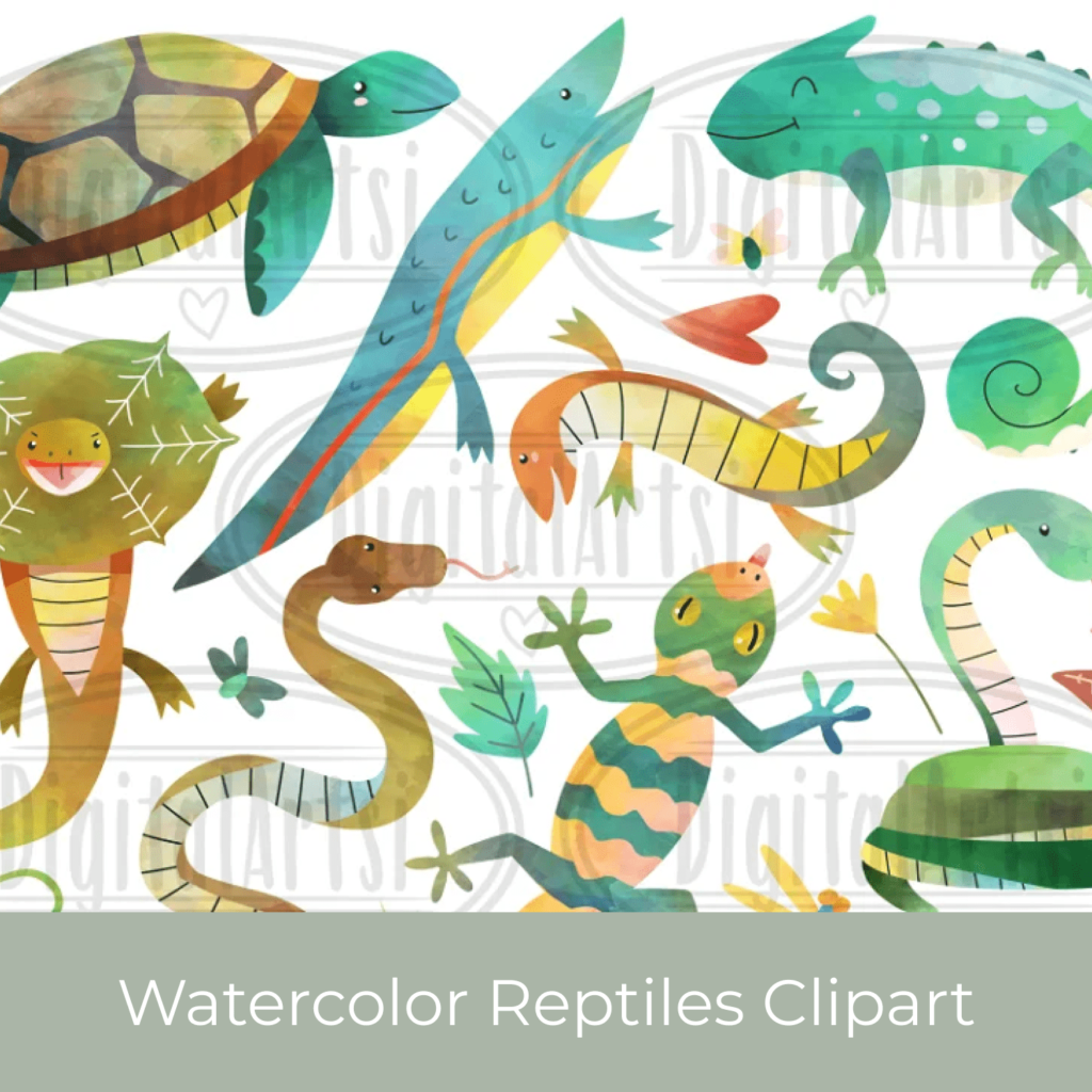 Watercolor Reptiles Clipart – MasterBundles