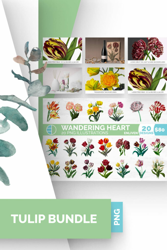 Tulip Bundle (20 Tulips Flowers) – MasterBundles