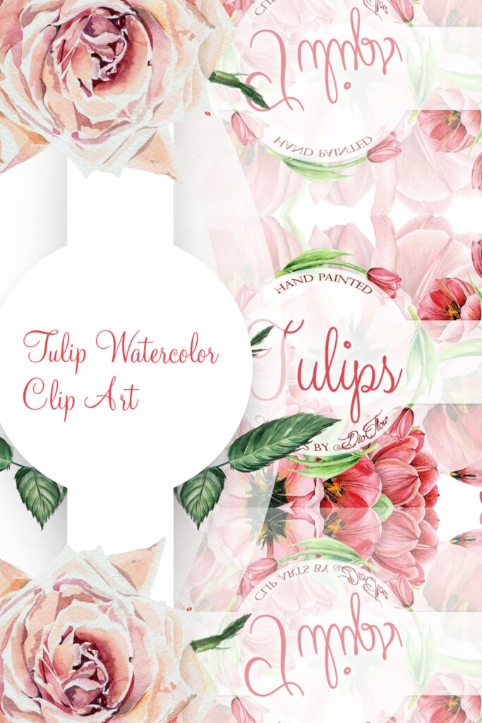 Tulip Watercolor Clip Art – MasterBundles