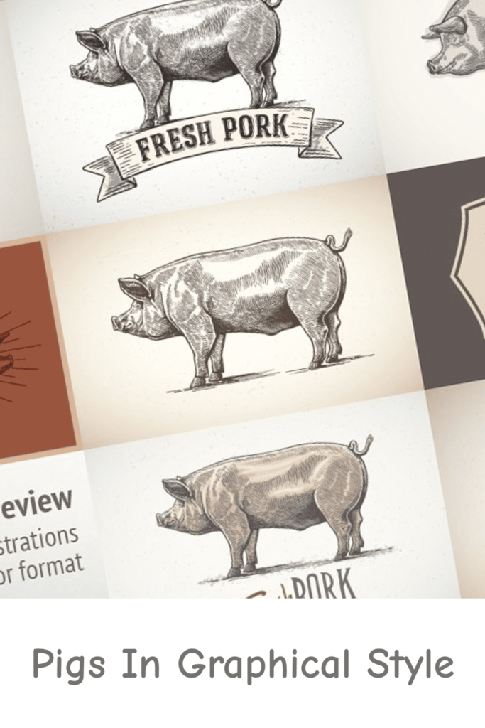 Pigs in Graphical Style – MasterBundles