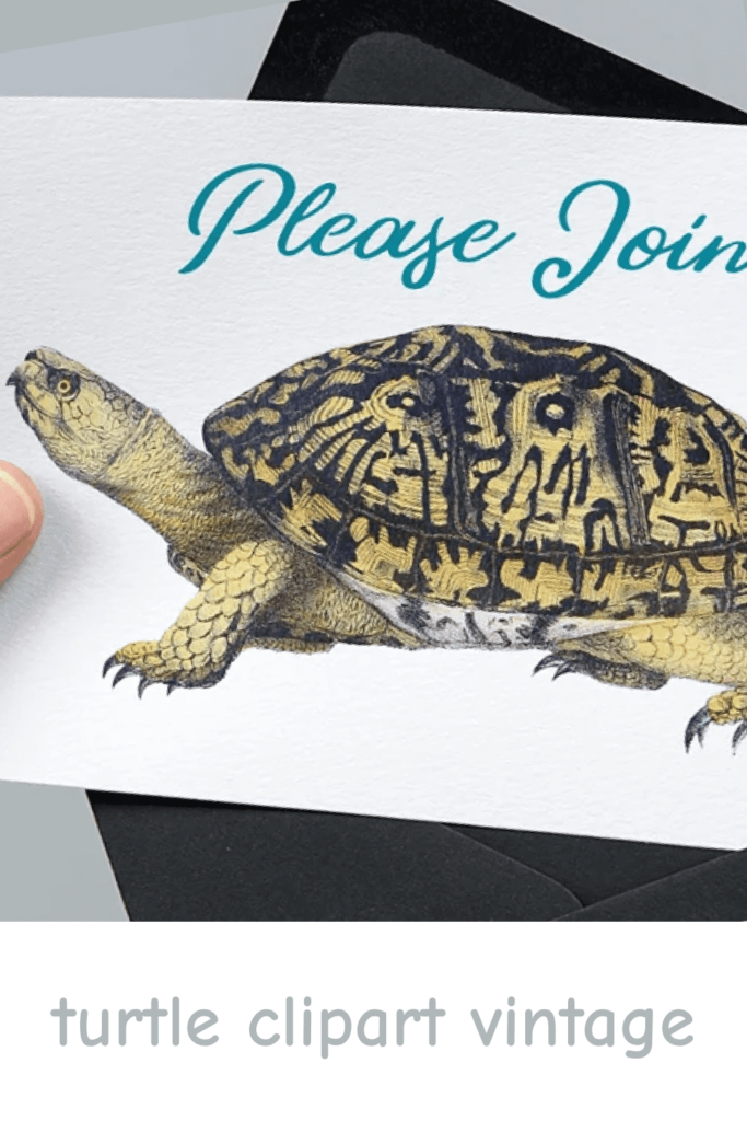 Turtle Clipart Vintage – MasterBundles