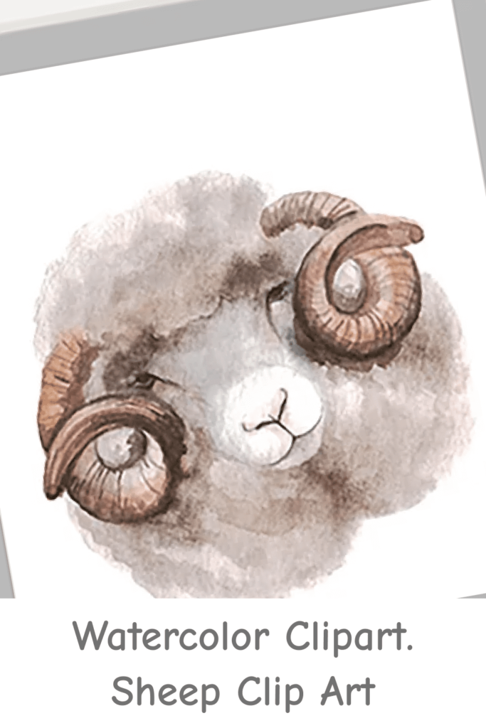 Watercolor Clipart. Sheep Clip Art – MasterBundles