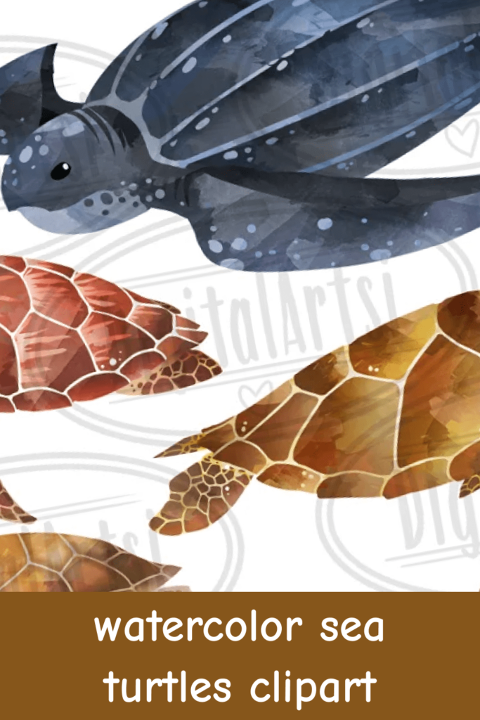 Watercolor Sea Turtles Clipart – MasterBundles