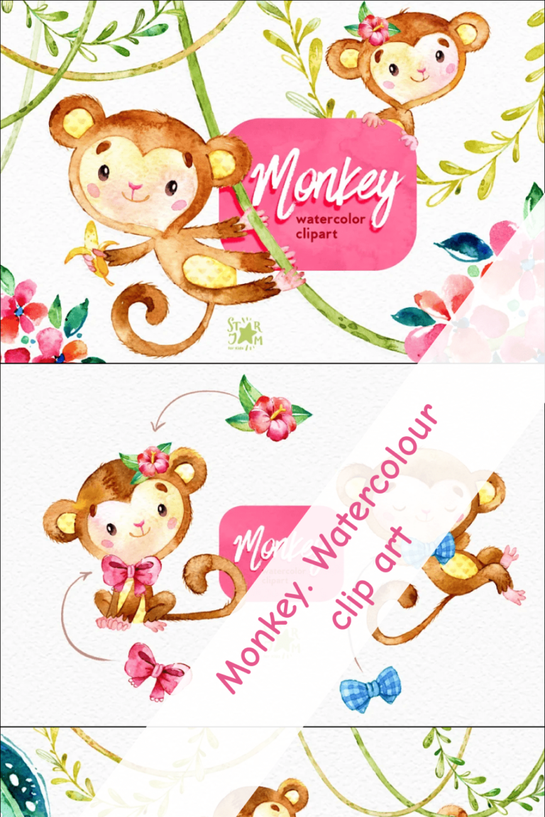 Monkey. Watercolour Clip Art. – MasterBundles