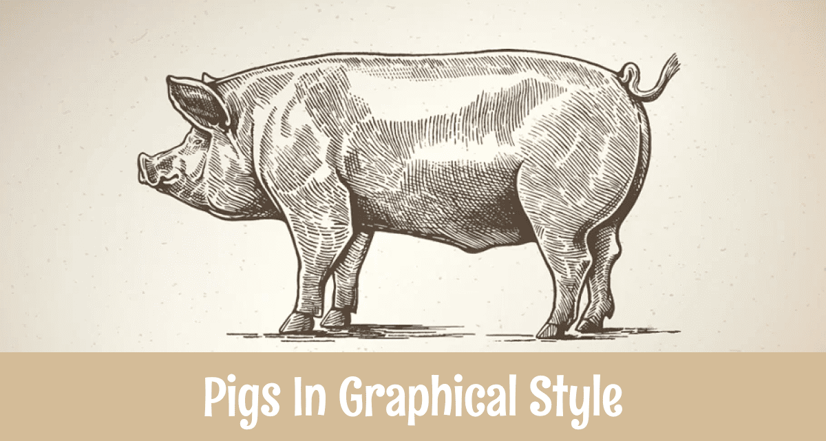 Pigs in Graphical Style – MasterBundles