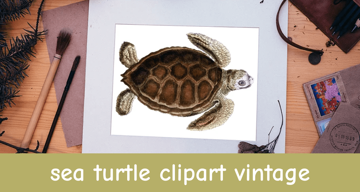 Sea Turtle Clipart Vintage – MasterBundles