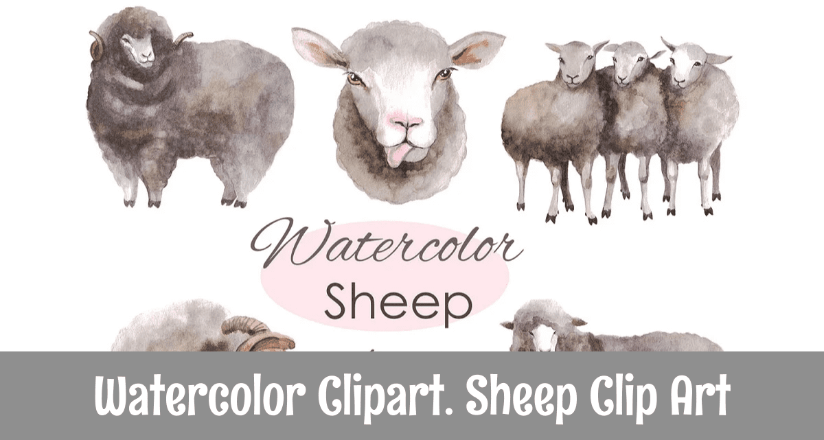 Watercolor Clipart. Sheep Clip Art – MasterBundles