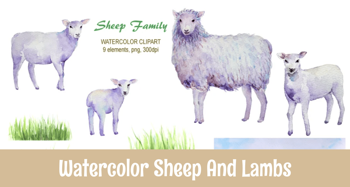 Watercolor Sheep and Lambs – MasterBundles