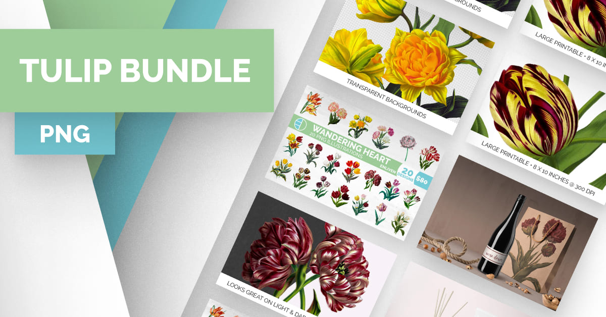 Tulip Bundle (20 Tulips Flowers) – MasterBundles