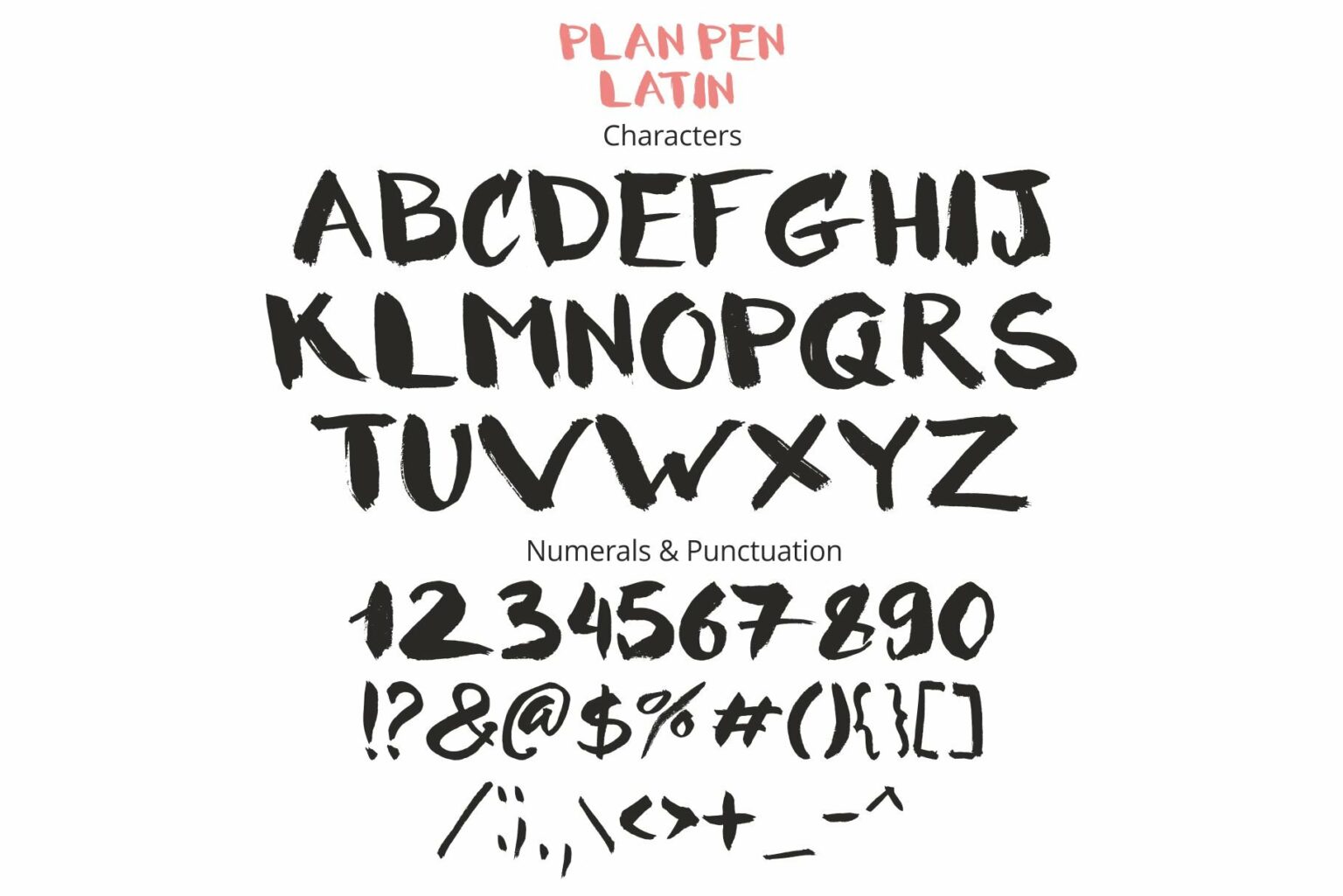 Plan Pen Display Font – MasterBundles
