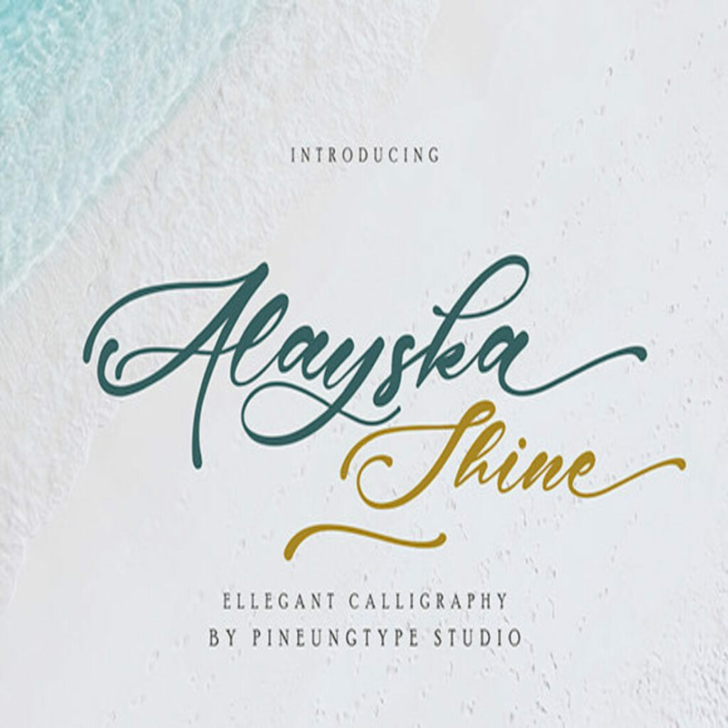 Brutal Solid Delicate Script Font | Master Bundles