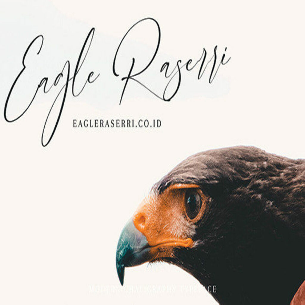 Alberto Script Lettering Font – MasterBundles