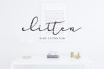 Aletcia Script Writing Font | Master Bundles