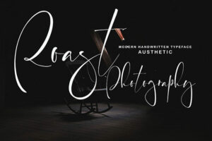 Algoriton Calligraphy Script Font – MasterBundles