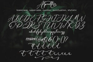 Alpenttera Calligraphy Script Font – MasterBundles
