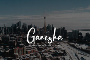 Amertha Calligraphy Script Font – MasterBundles