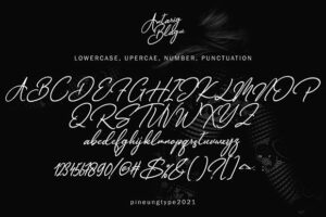 Antarig Blagu Thin Script Lettering Font – MasterBundles