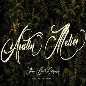 Austin Font Dancing Script Font – MasterBundles