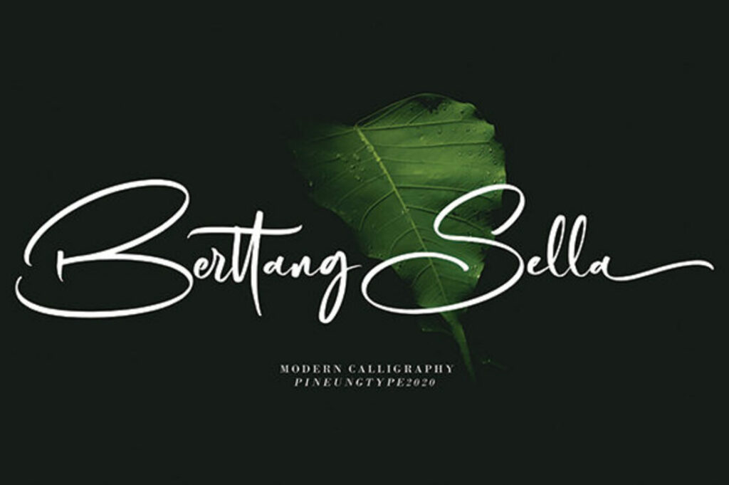 Berttang Sella Monoline Script Font – MasterBundles