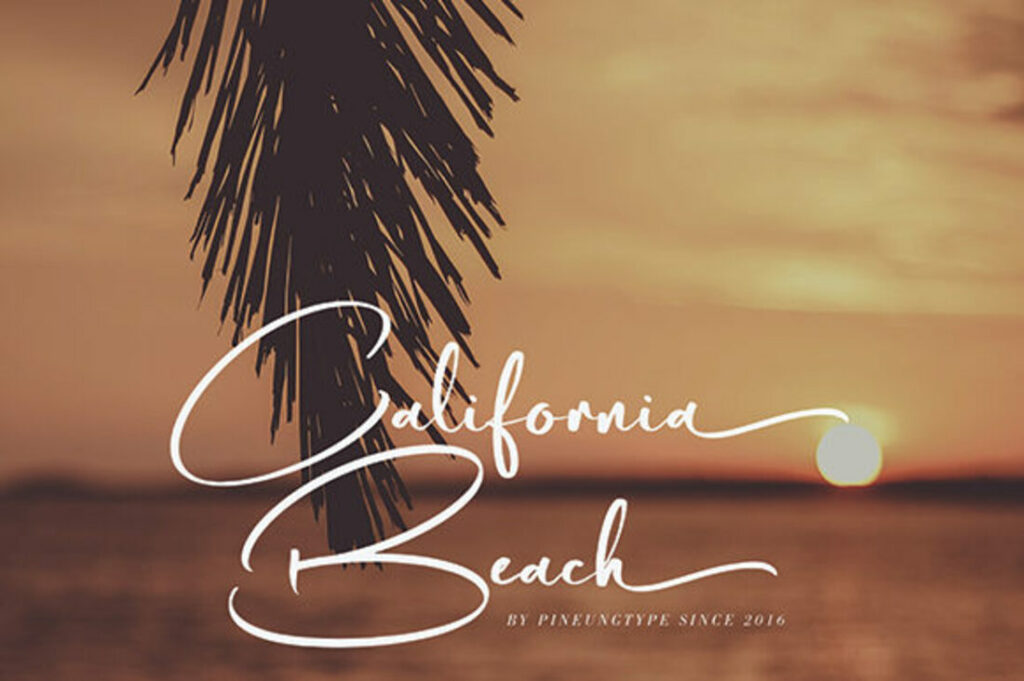 Berttang Sella Monoline Script Font – MasterBundles